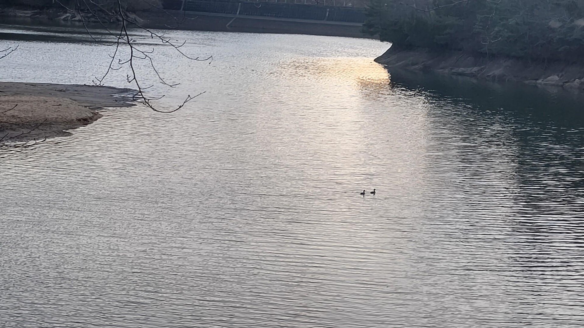 交野山・国見山 / mu-3さんの交野山・国見山の活動データ | YAMAP / ヤマップ