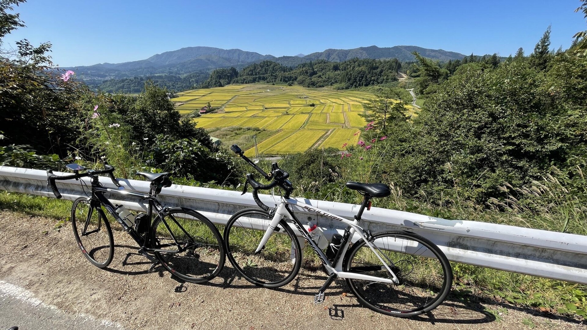 サイクリング 鮎ライド🚴‍♀️ / satorinさんのサイクリングの活動データ | YAMAP / ヤマップ