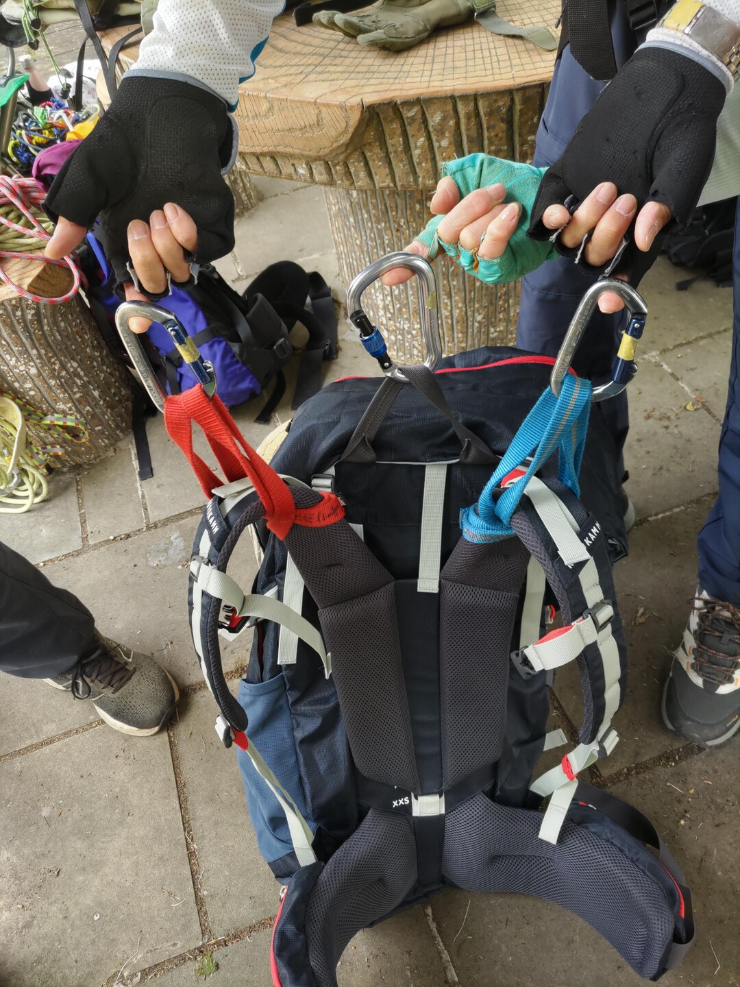 月に一度のコンパニオンレスキュー。要救助... / S.nekoさんのモーメント | YAMAP / ヤマップ