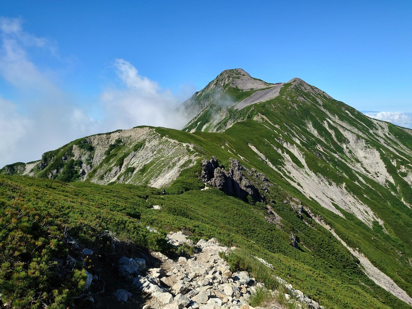 笠ヶ岳・抜戸岳・大ノマ岳・弓折岳 / kobaさんの槍ヶ岳・穂高岳・上高地の活動データ | YAMAP / ヤマップ