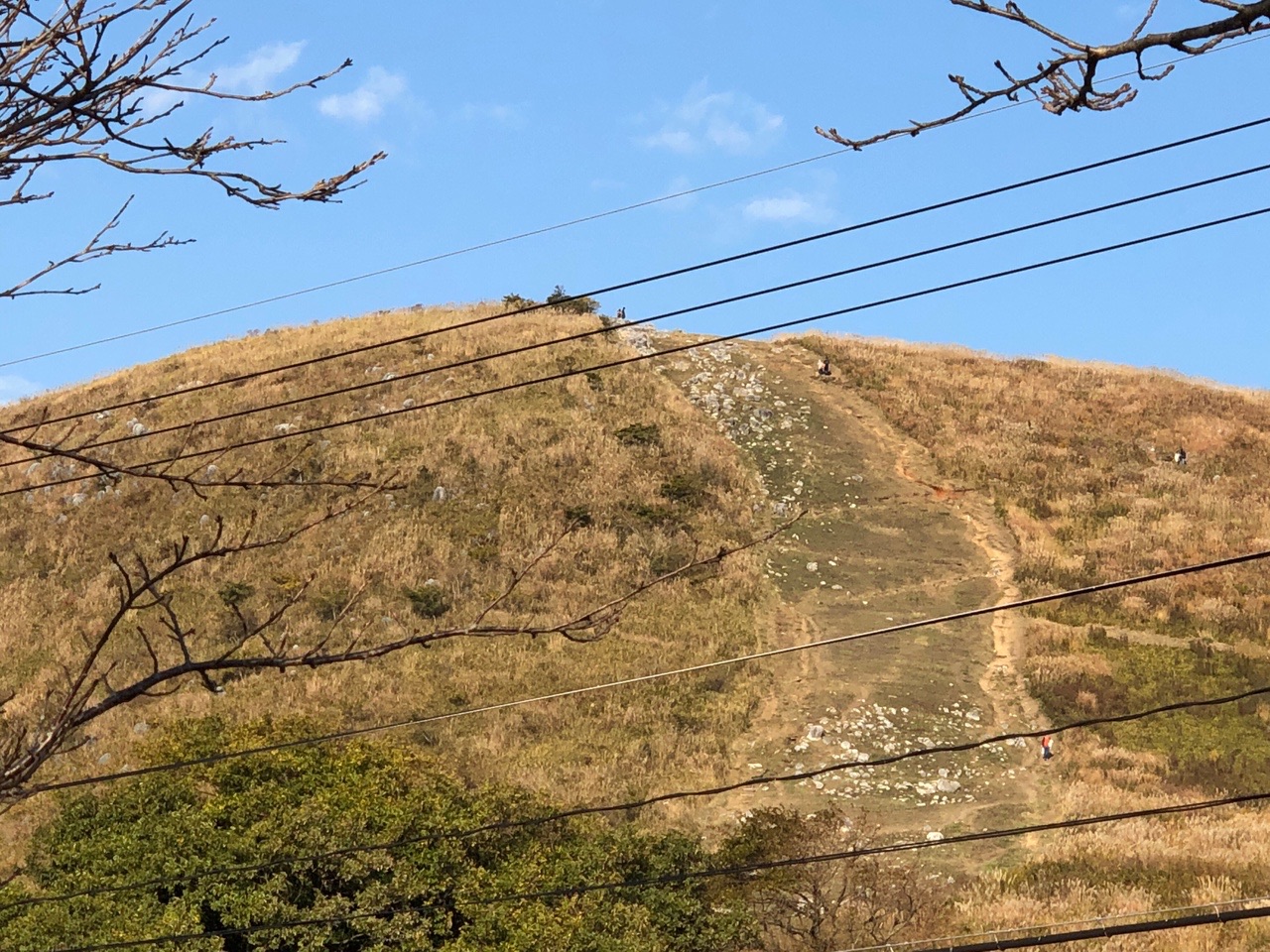 今日は平尾台で秋を満喫。登りたかったけど... / やすさんのモーメント | YAMAP / ヤマップ