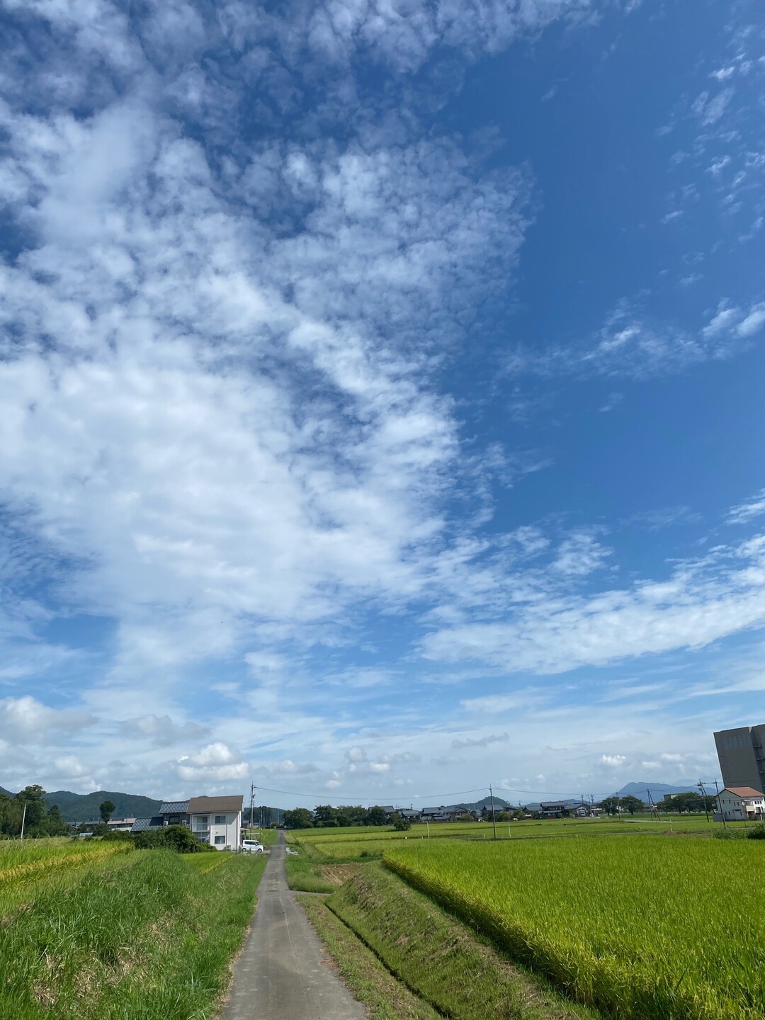 前鬼ヶ岳から向山へルート探索👍 / takaさんの鬼ヶ岳の活動日記 | YAMAP / ヤマップ
