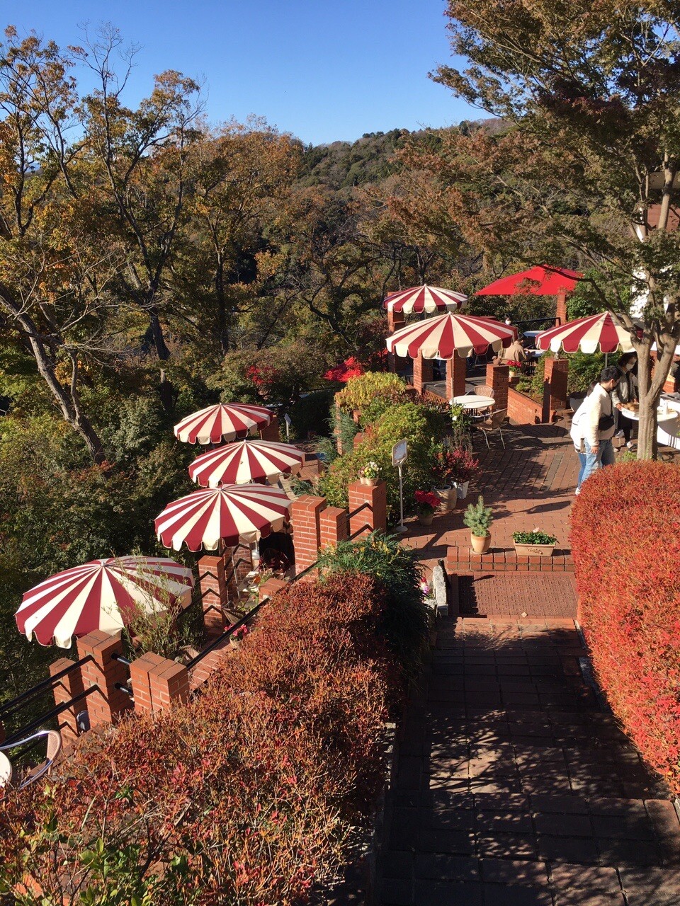 鎌倉市-2021-11-28 / hideさんの鎌倉市の活動データ | YAMAP / ヤマップ