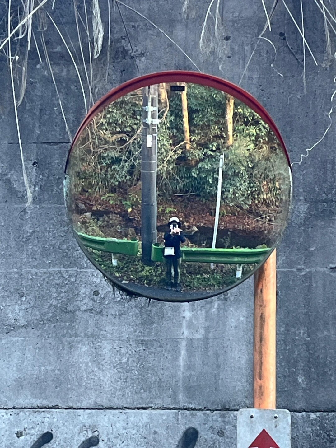 景信山〜陣馬山 陣馬の湯♨️ / aromaさんの高尾山・陣馬山・景信山の活動データ | YAMAP / ヤマップ