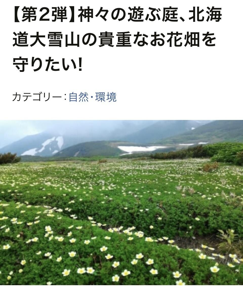 大雪山旭岳裾合平にある登山道修復のクラフ... / R352さんのモーメント | YAMAP / ヤマップ