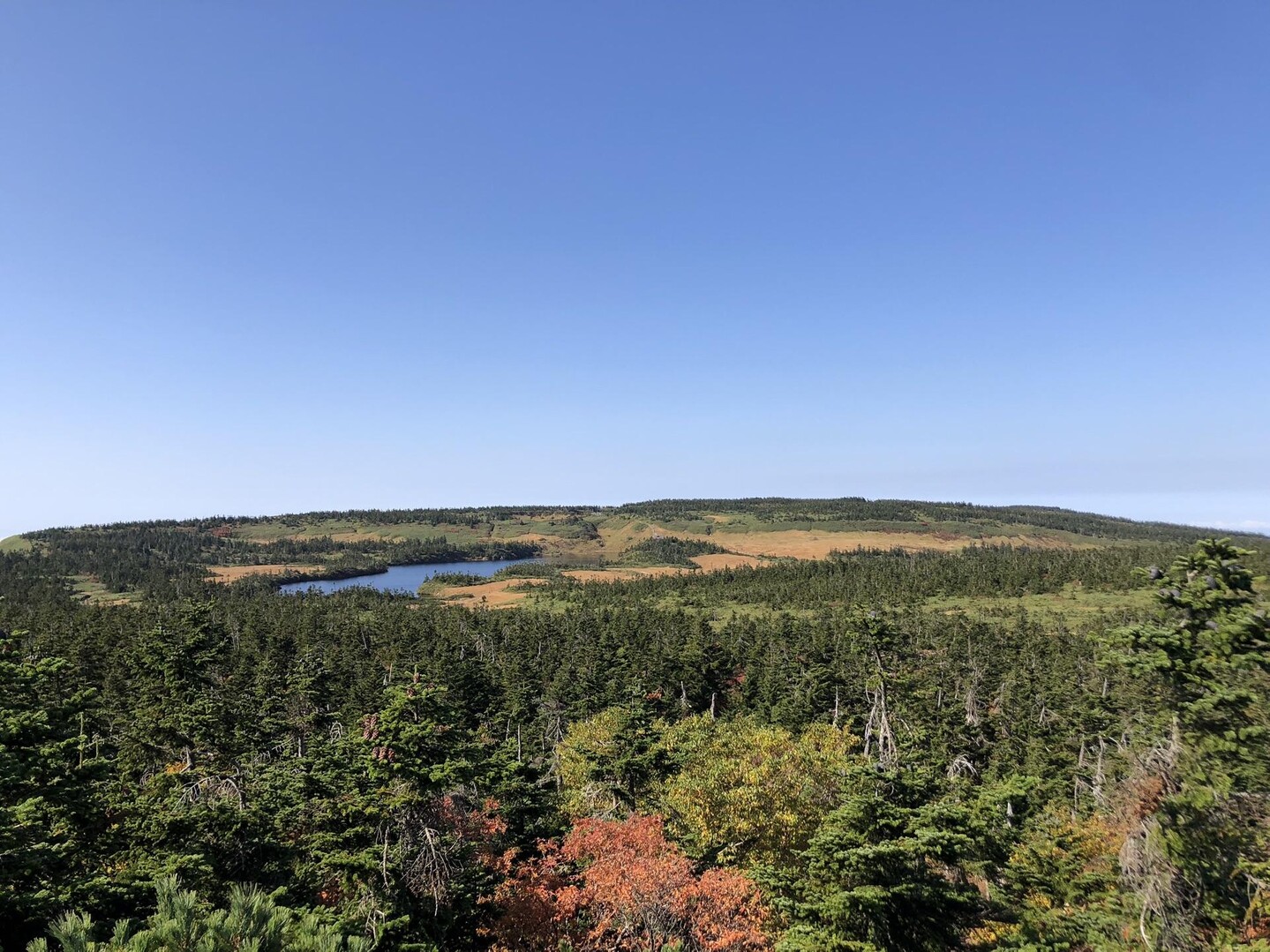のんびり八幡平 - JALどこかにマイル登山？ / KIYAtさんの八幡平・源太森・安比岳の活動データ | YAMAP / ヤマップ