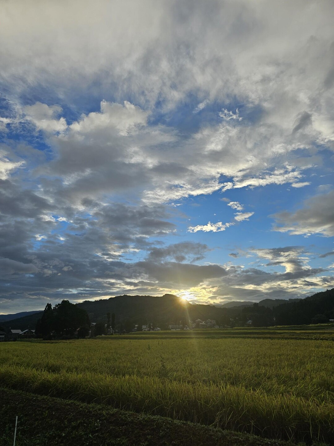 信越五岳100mile DNF / おくさんの斑尾山・信越トレイル（斑尾山・赤池・希望湖）の活動データ | YAMAP / ヤマップ