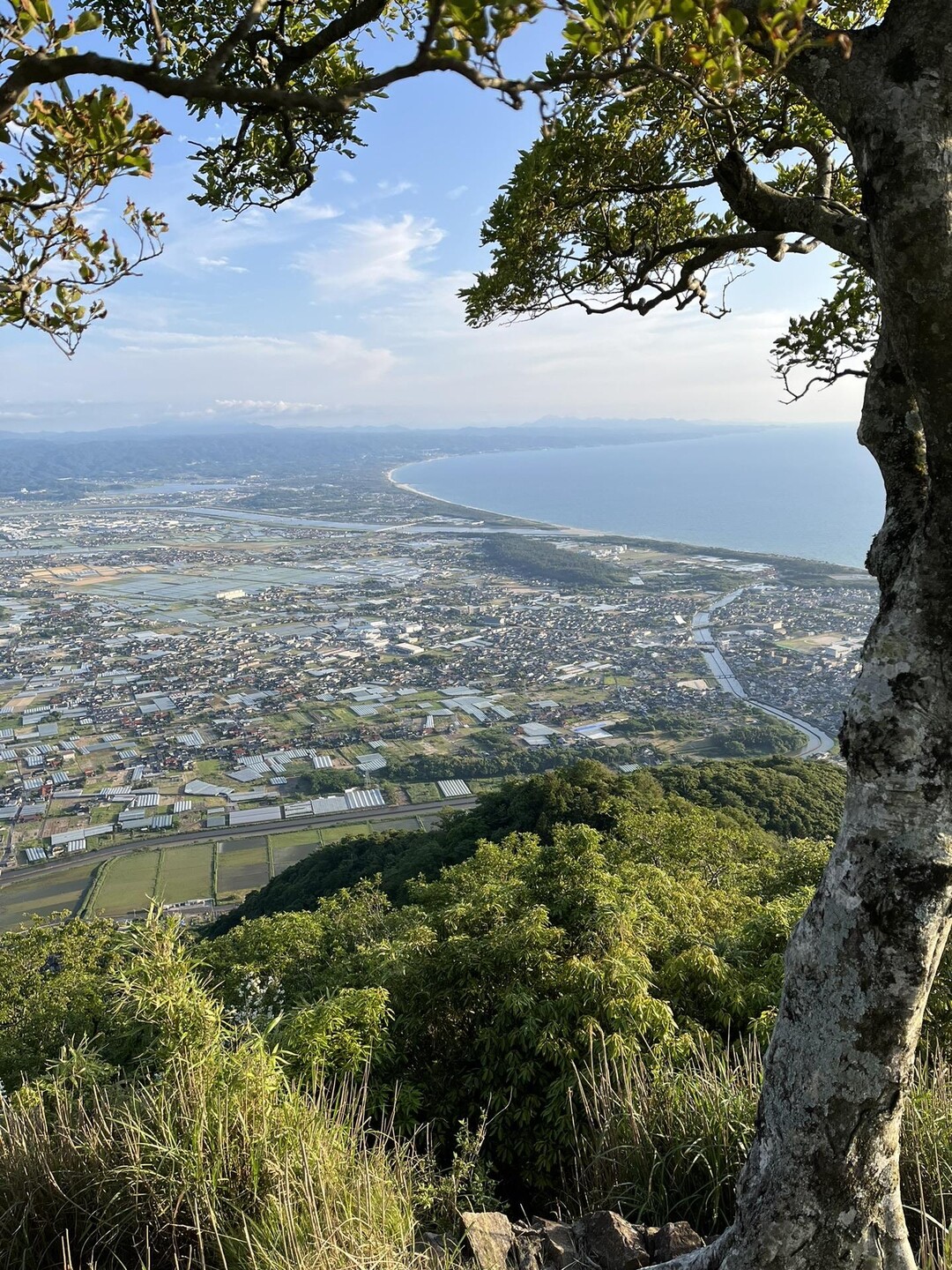 弥山 / big treeさんの鼻高山・弥山・旅伏山の活動データ | YAMAP / ヤマップ
