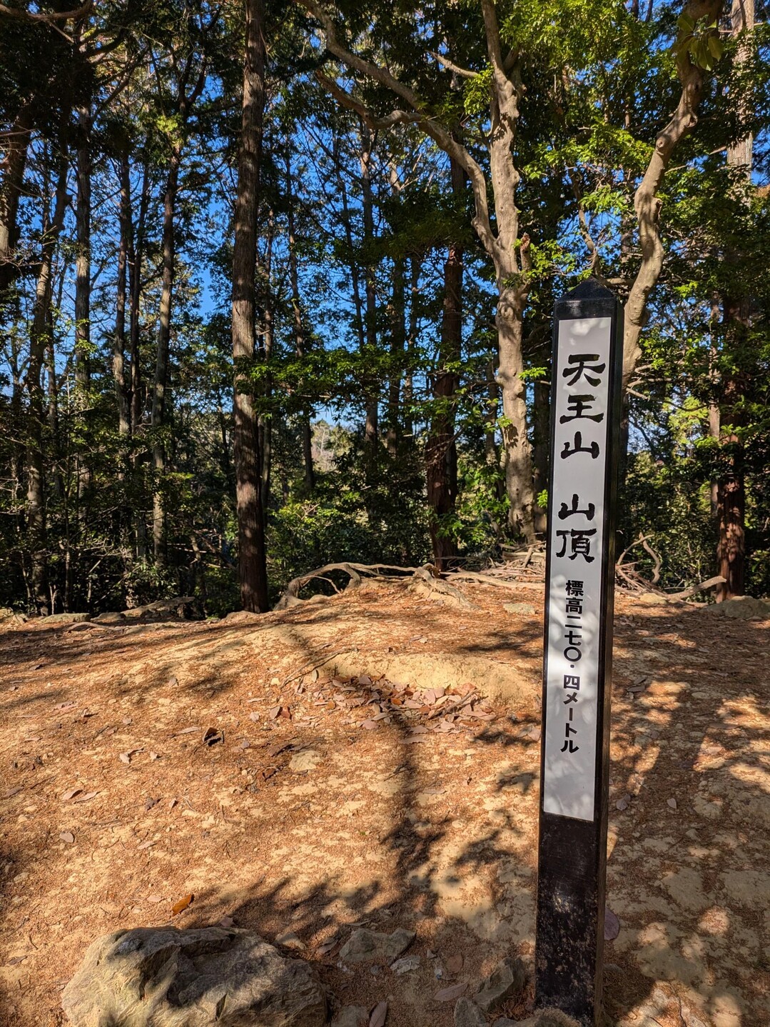 天王山で2024年締めくくり / noanoaさんのポンポン山・釈迦岳・小塩山・若山の活動日記 | YAMAP / ヤマップ