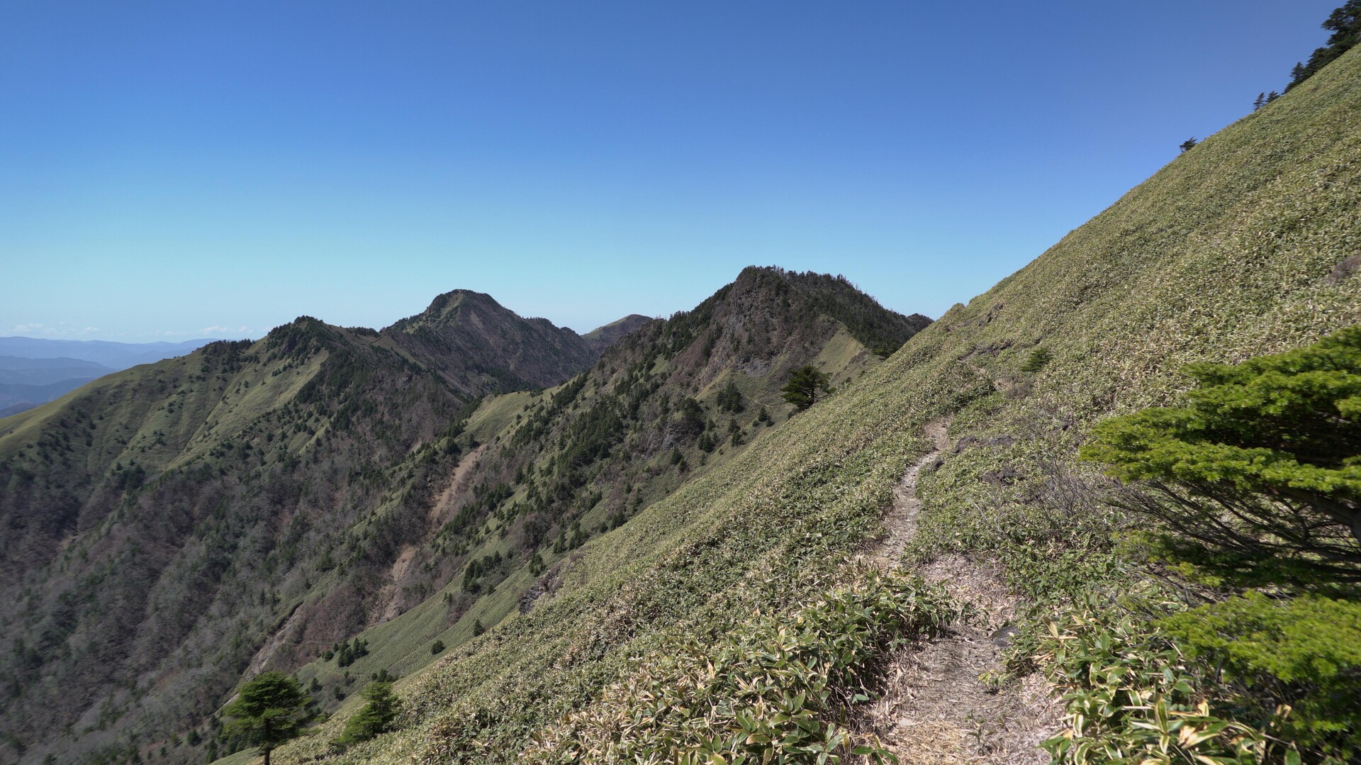 土小屋から二ノ森ピストン 動画あり / kin_kinさんの石鎚山・堂ヶ森・二ノ森の活動データ | YAMAP / ヤマップ