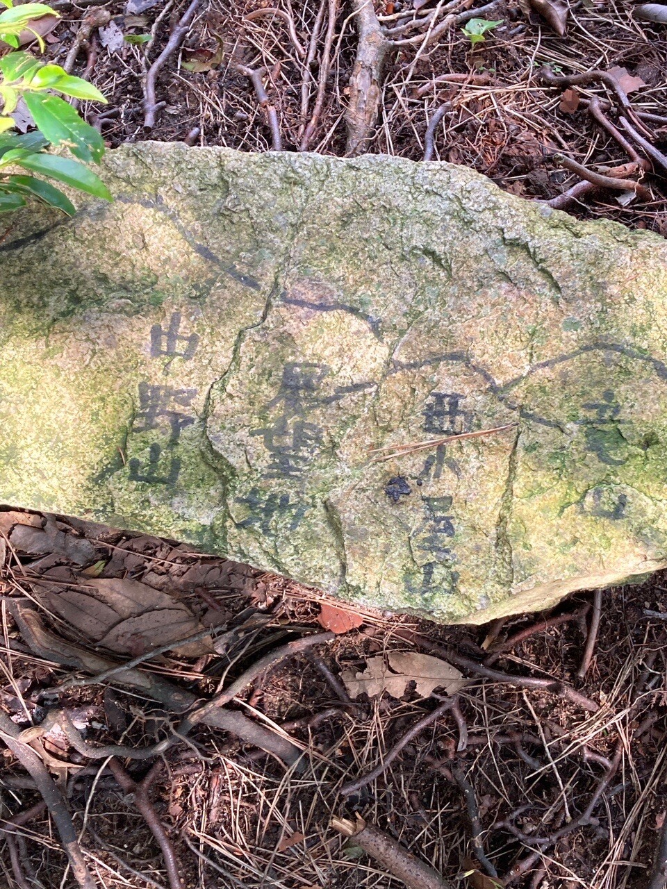 toshiさんの投稿したフィールドメモ | YAMAP / ヤマップ