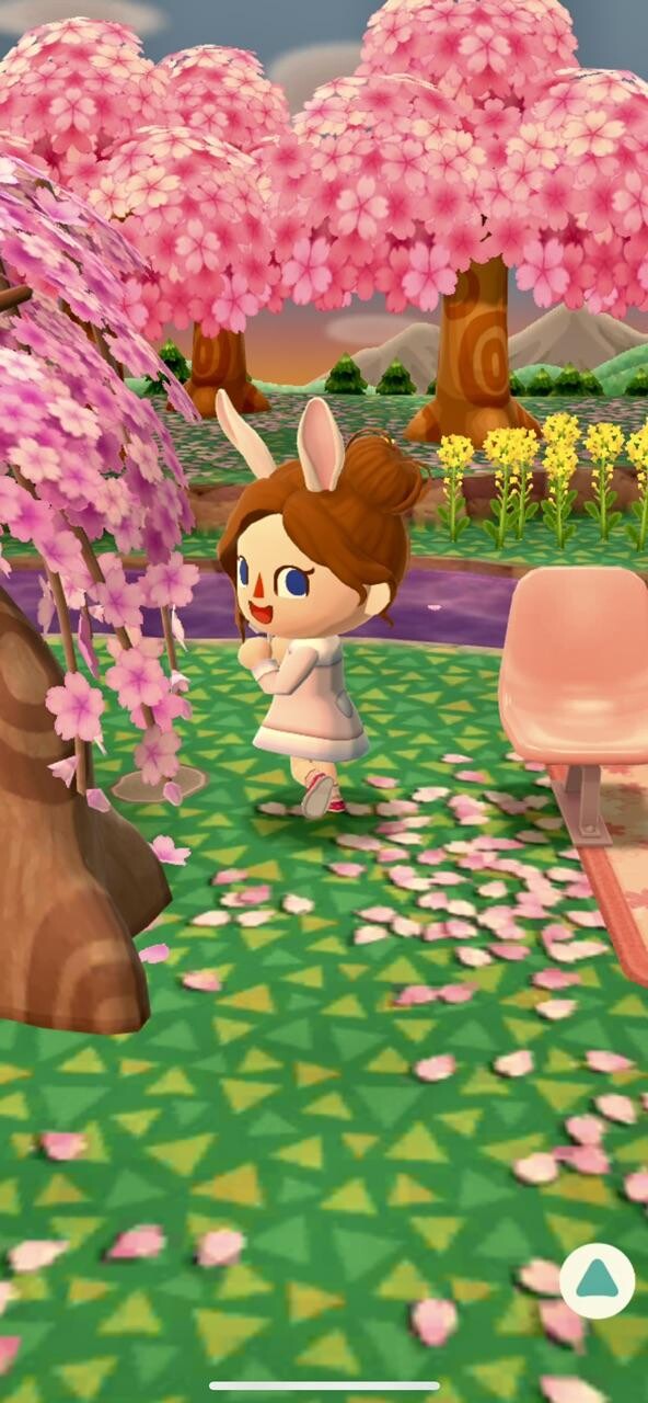 minirollのページ | YAMAP / ヤマップ