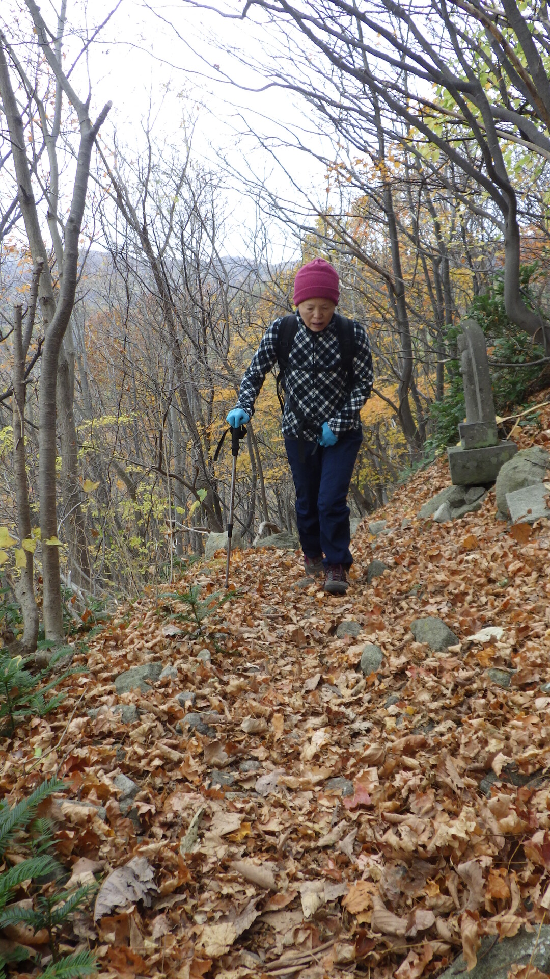 尻場山-2019-11-04 / Syoさんの尻場山の活動データ | YAMAP / ヤマップ