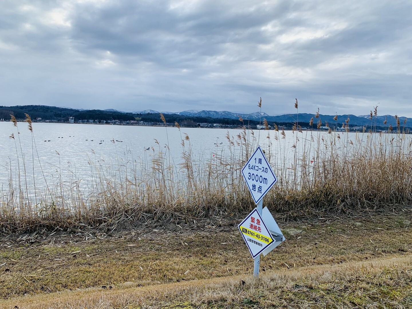 気持ちの良い朝🌤 寒さにカモたちも首す... / keyさんのモーメント | YAMAP / ヤマップ