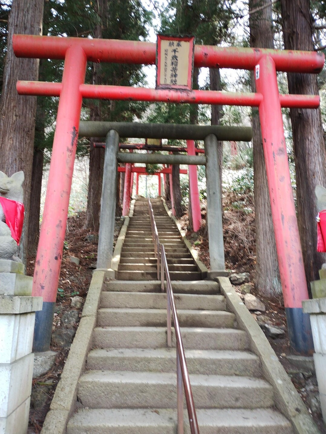 千歳山 / MITさんの千歳山・猿岡山・戸神山の活動データ | YAMAP / ヤマップ