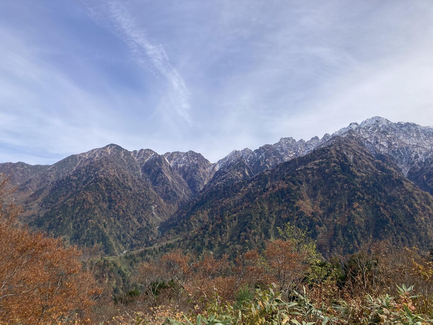 中山🍁 / ポンコツおまるさんの細蔵山の活動データ | YAMAP / ヤマップ