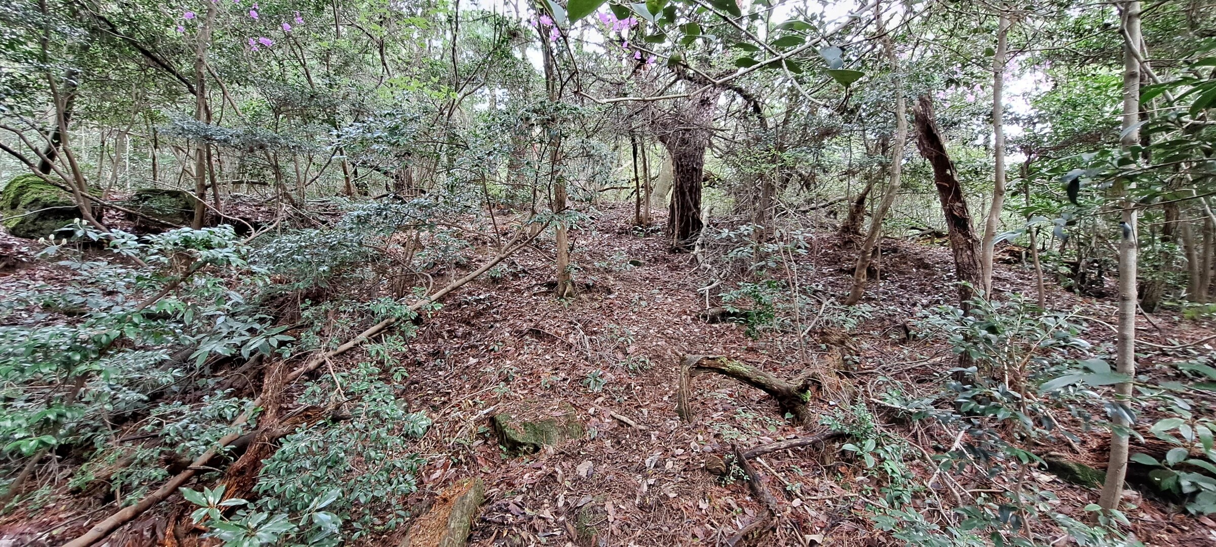 kame11さんの投稿したフィールドメモ | YAMAP / ヤマップ