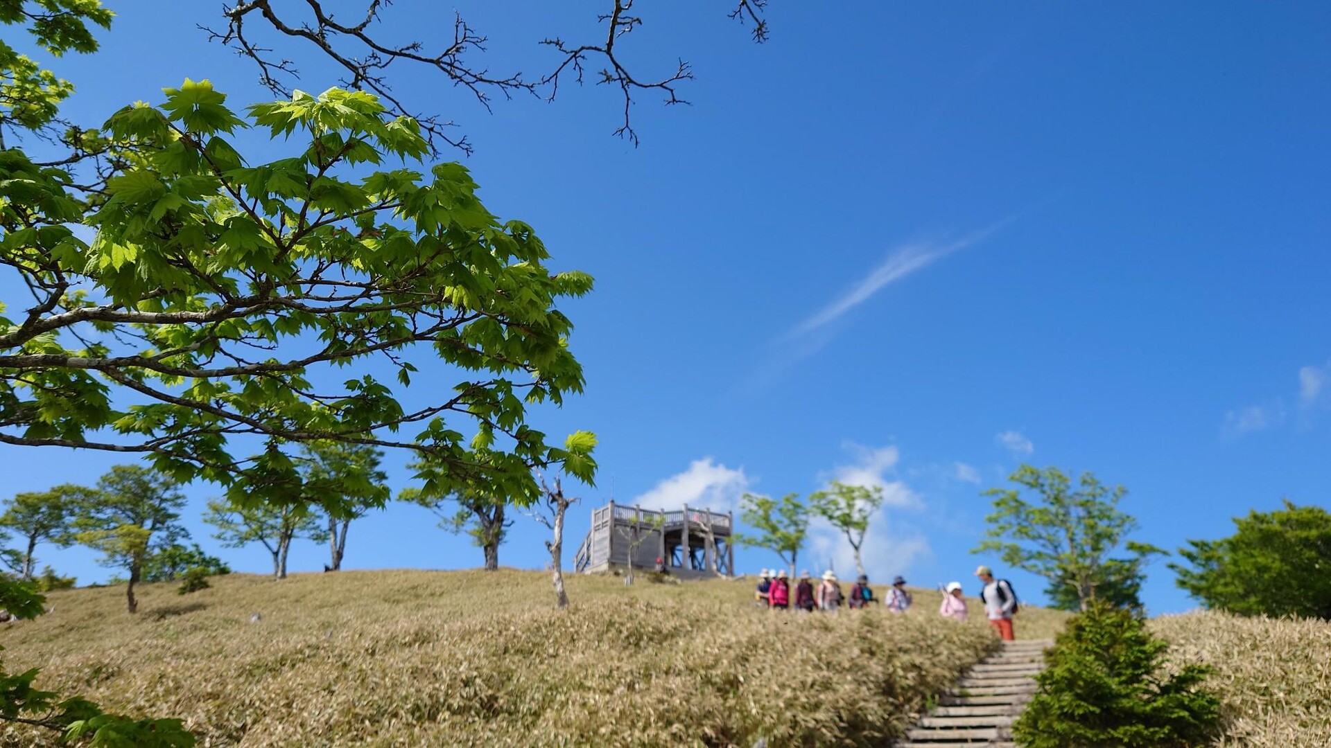 海近の大台ヶ原（日出ヶ岳） / HAYAさんの大台ヶ原山・日出ヶ岳・大杉谷の活動データ | YAMAP / ヤマップ