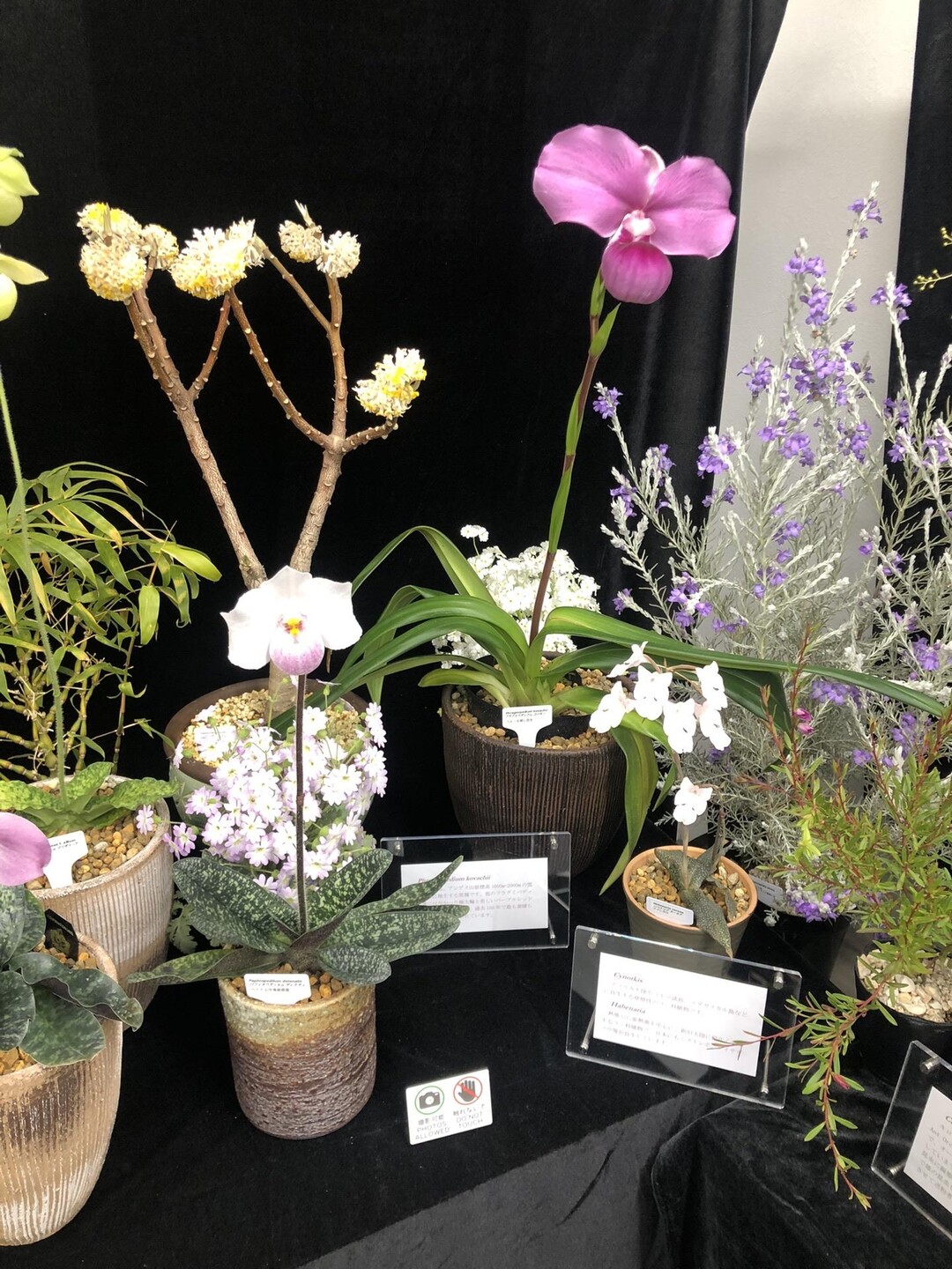 2024-03-23 YAMAPの主旨と... / ぐりこさんのモーメント | YAMAP / ヤマップ