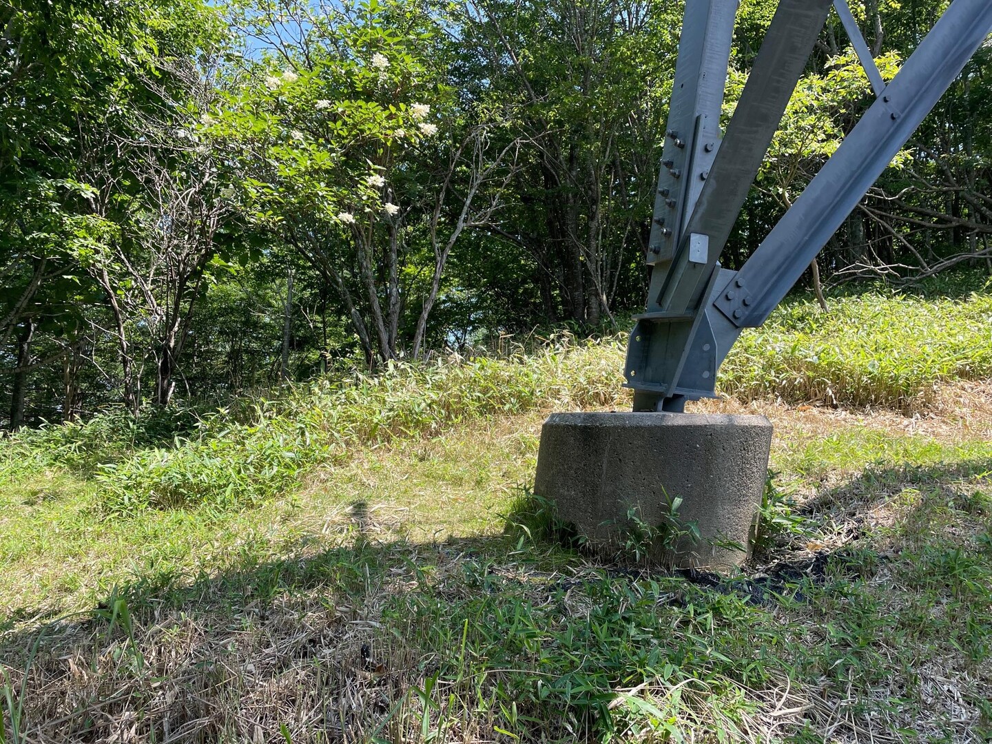 monamonaさんの投稿したフィールドメモ | YAMAP / ヤマップ