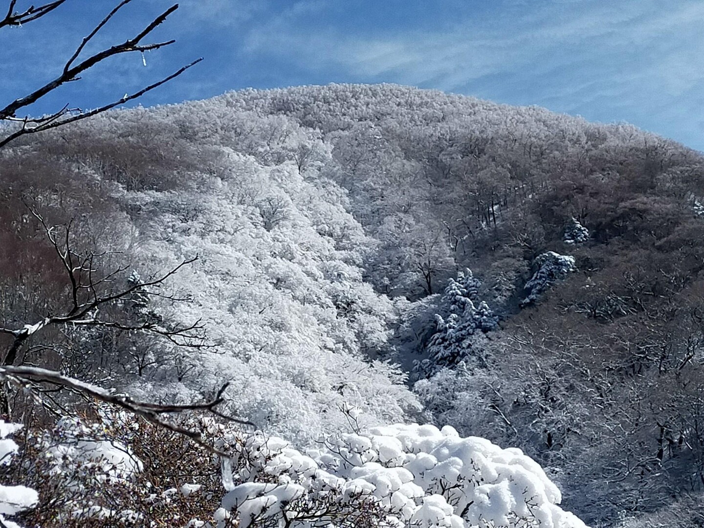霧氷を期待して黒檜山・駒ヶ岳・篭山 / Berryさんの赤城山・黒檜山・荒山の活動データ | YAMAP / ヤマップ