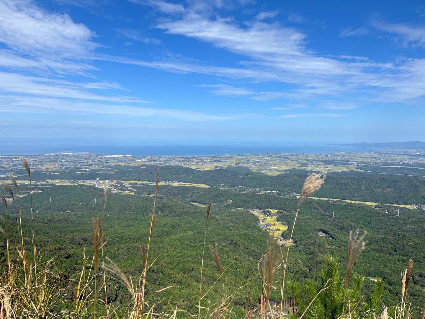 八面山・八面山北峰（金色渓谷入口より） / Tazさんの八面山の活動データ | YAMAP / ヤマップ