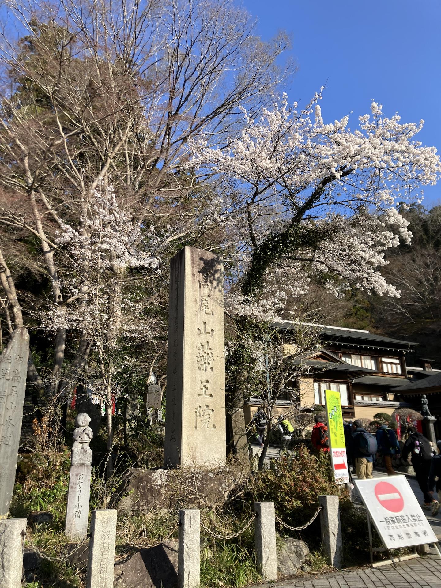 高尾山〜城山 / Sinさんの高尾山・陣馬山・景信山の活動データ | YAMAP / ヤマップ