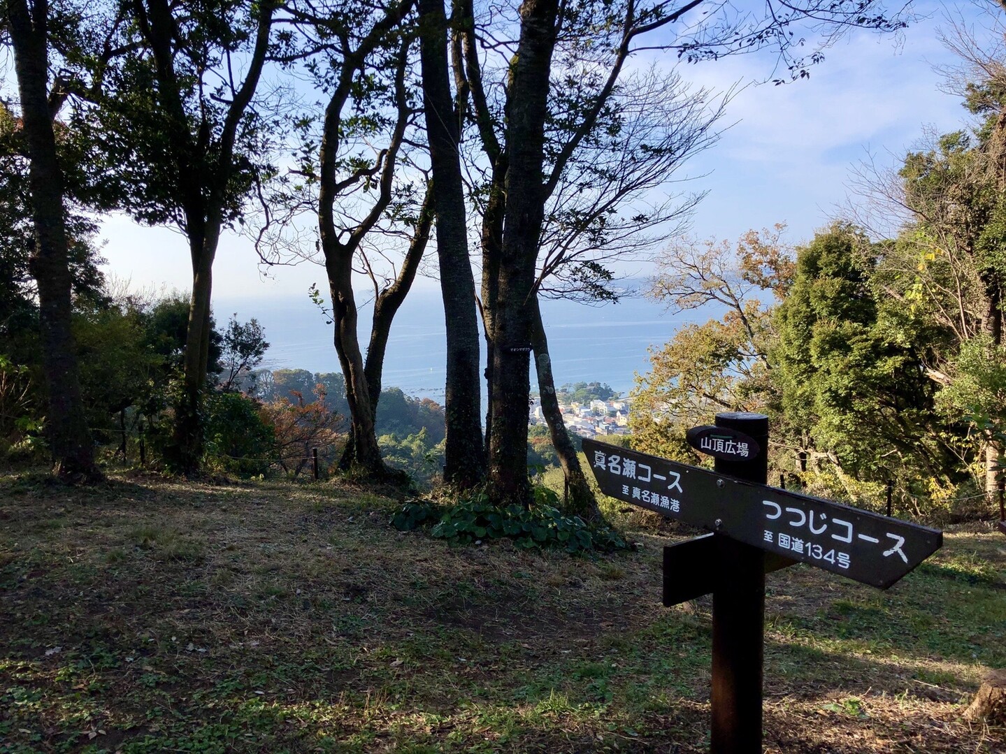 犬散歩🐕 大峰山 / heeさんの三浦アルプス・二子山・仙元山の活動日記 | YAMAP / ヤマップ