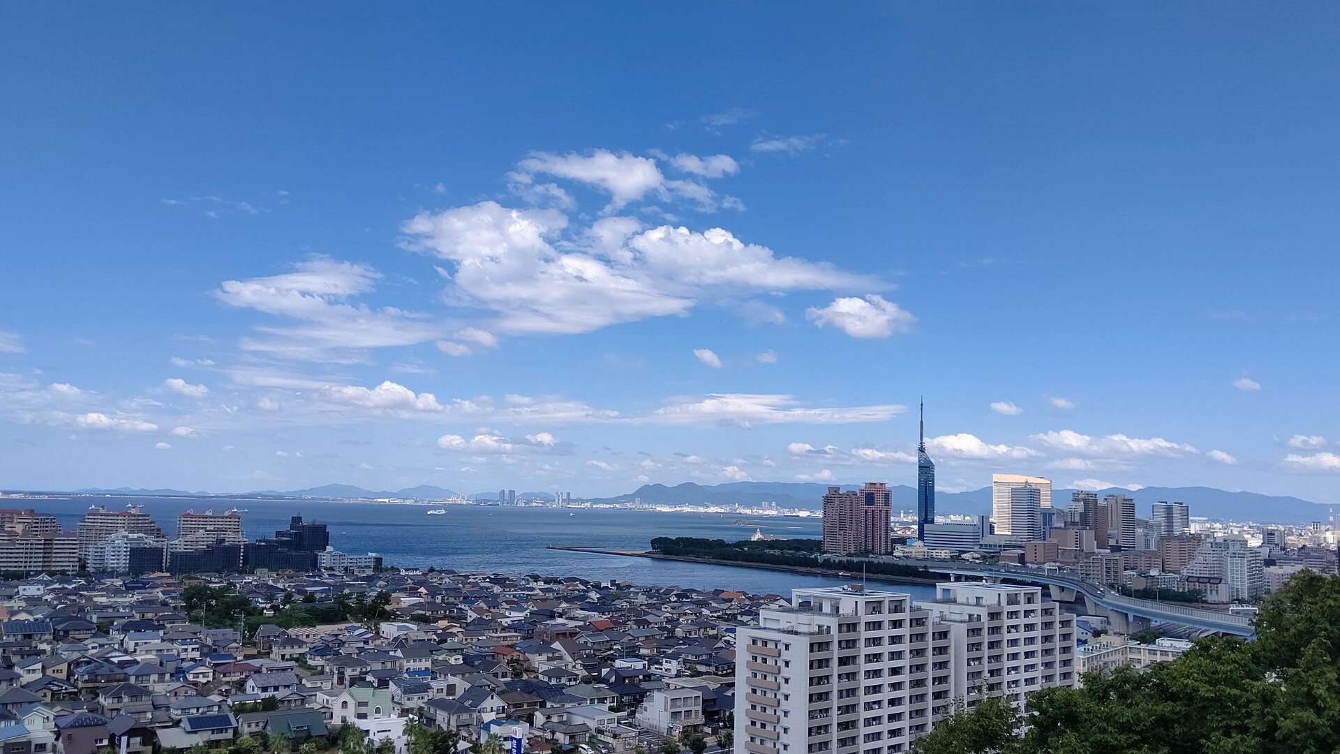 70㊗️愛宕神社 / megさんのランニングの活動データ | YAMAP / ヤマップ