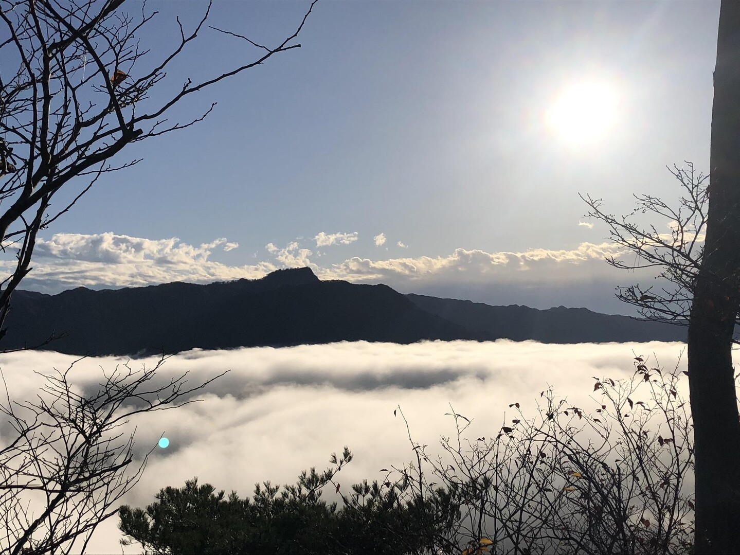 午前中制限を己れに課して 鷲の巣山 / dragon_zさんの奥久慈男体山・月居山・篭岩（篭岩山）の活動データ | YAMAP / ヤマップ