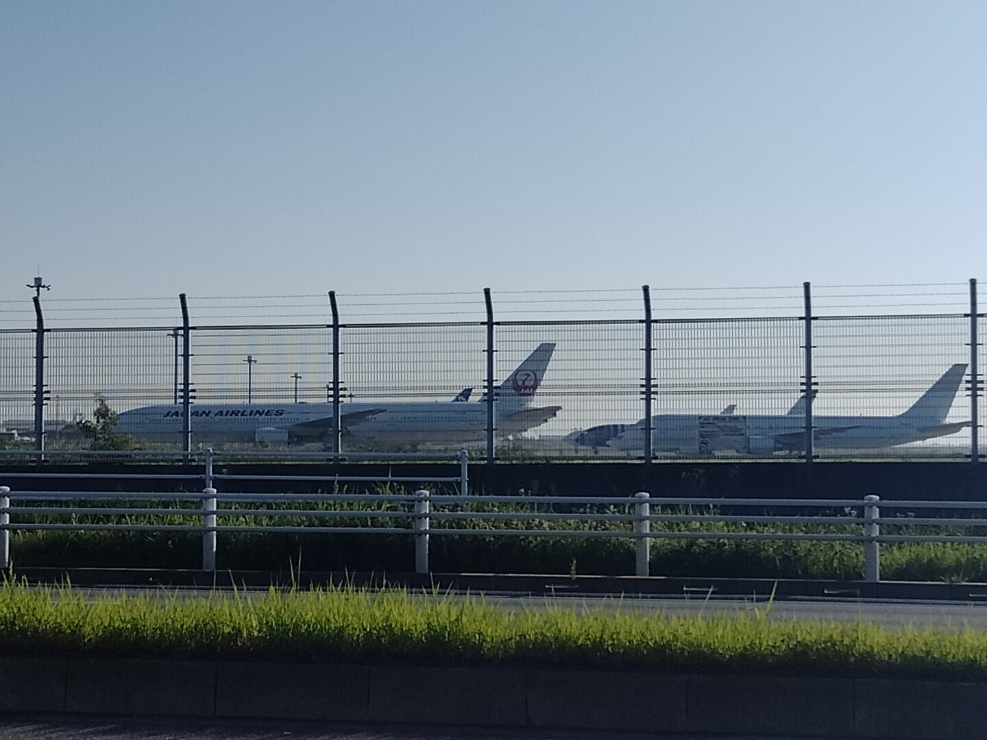もう梅雨🌧明けたん⁉️でも、今日はパシ... / denaliさんのモーメント | YAMAP / ヤマップ