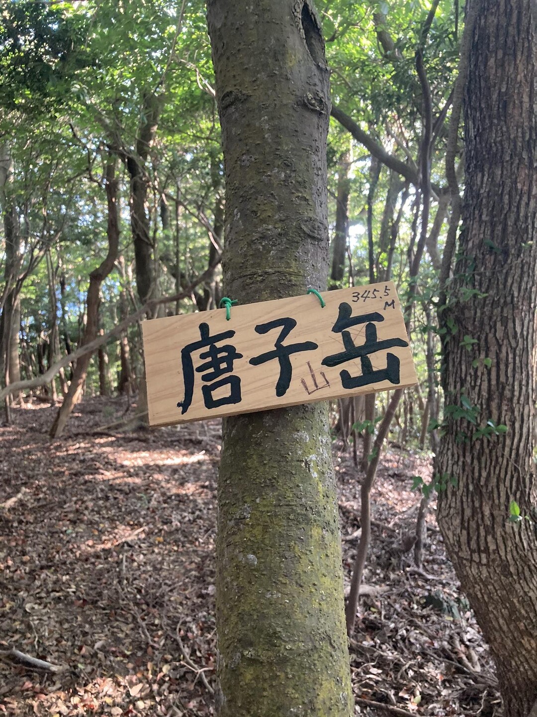 龍王山後のおかわり唐子山 / Non-dayさんの龍王山・八木山の活動データ | YAMAP / ヤマップ