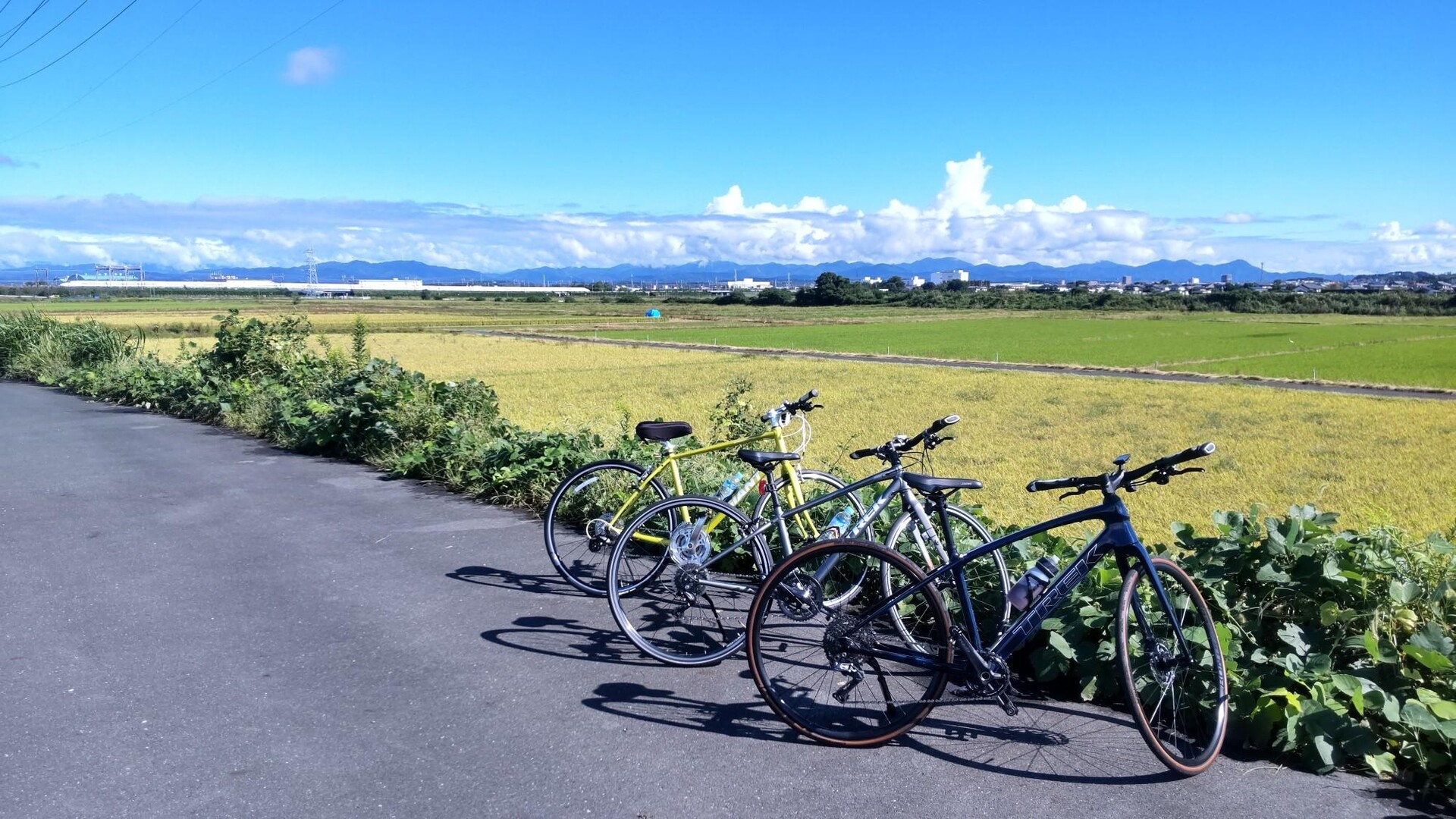 秋🌾の楽しい1日～🚲️ GWの浜名湖... / ゆーちゃんさんのモーメント | YAMAP / ヤマップ