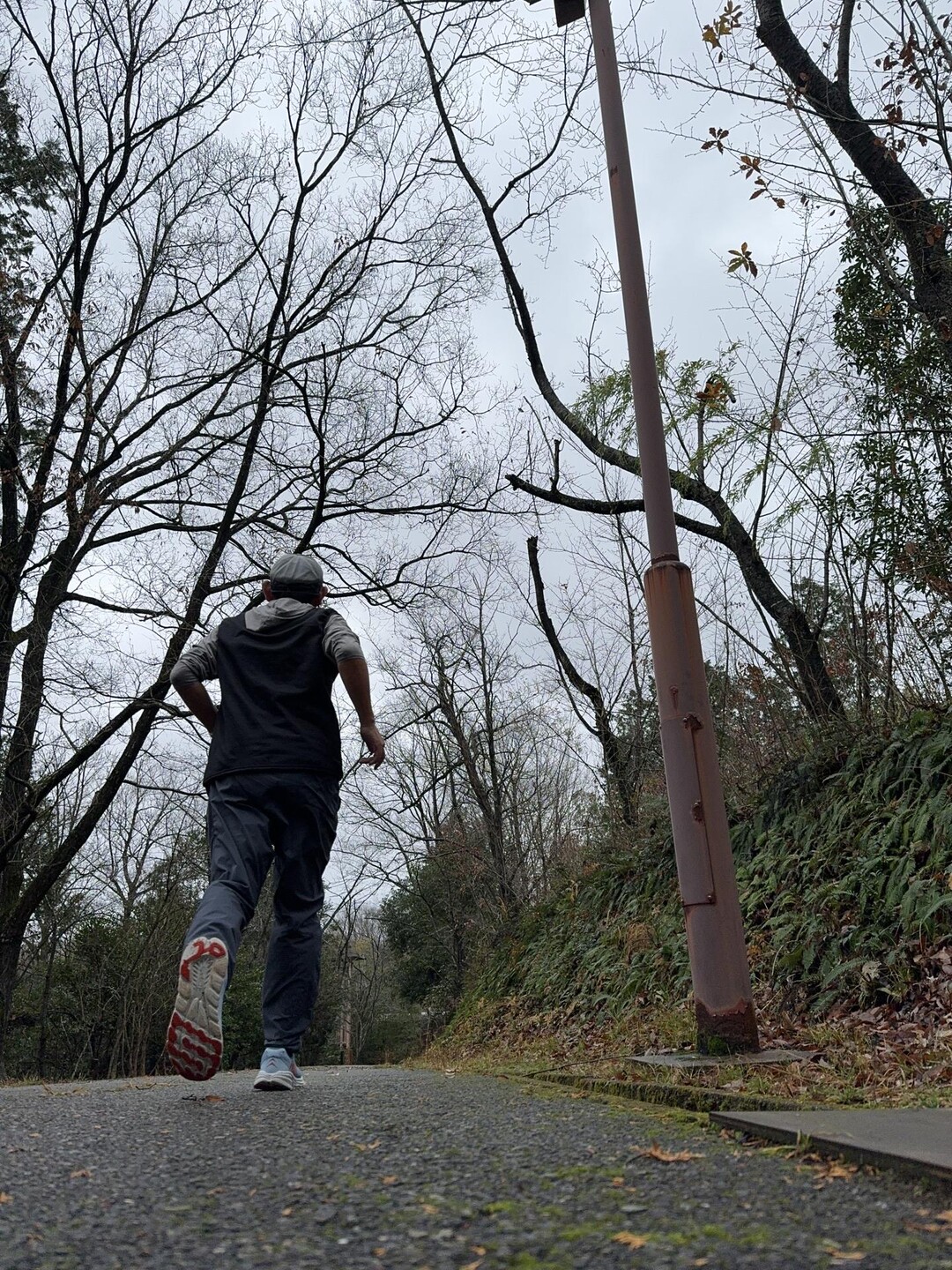 いこ森周回RUN♪（清水山） / NAOZOさんの遣水観音山・遊泉寺砂山・高野山の活動データ | YAMAP / ヤマップ