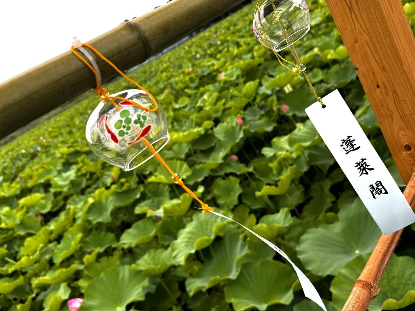 摺鉢山(101回目)・大仏山(㊗️100回目)に登って来ました😆👍 / たけしさんの東京都23区 中央エリアの活動データ | YAMAP / ヤマップ