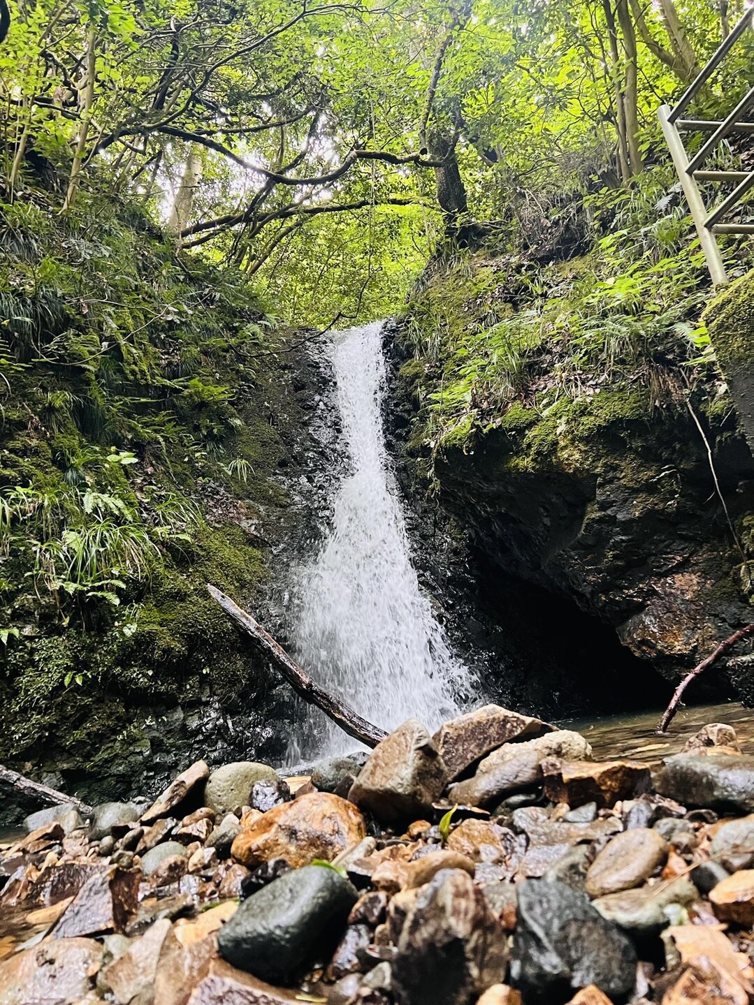八枚沢 / yuichiroさんの弥彦山・多宝山・雨乞山の活動データ | YAMAP / ヤマップ