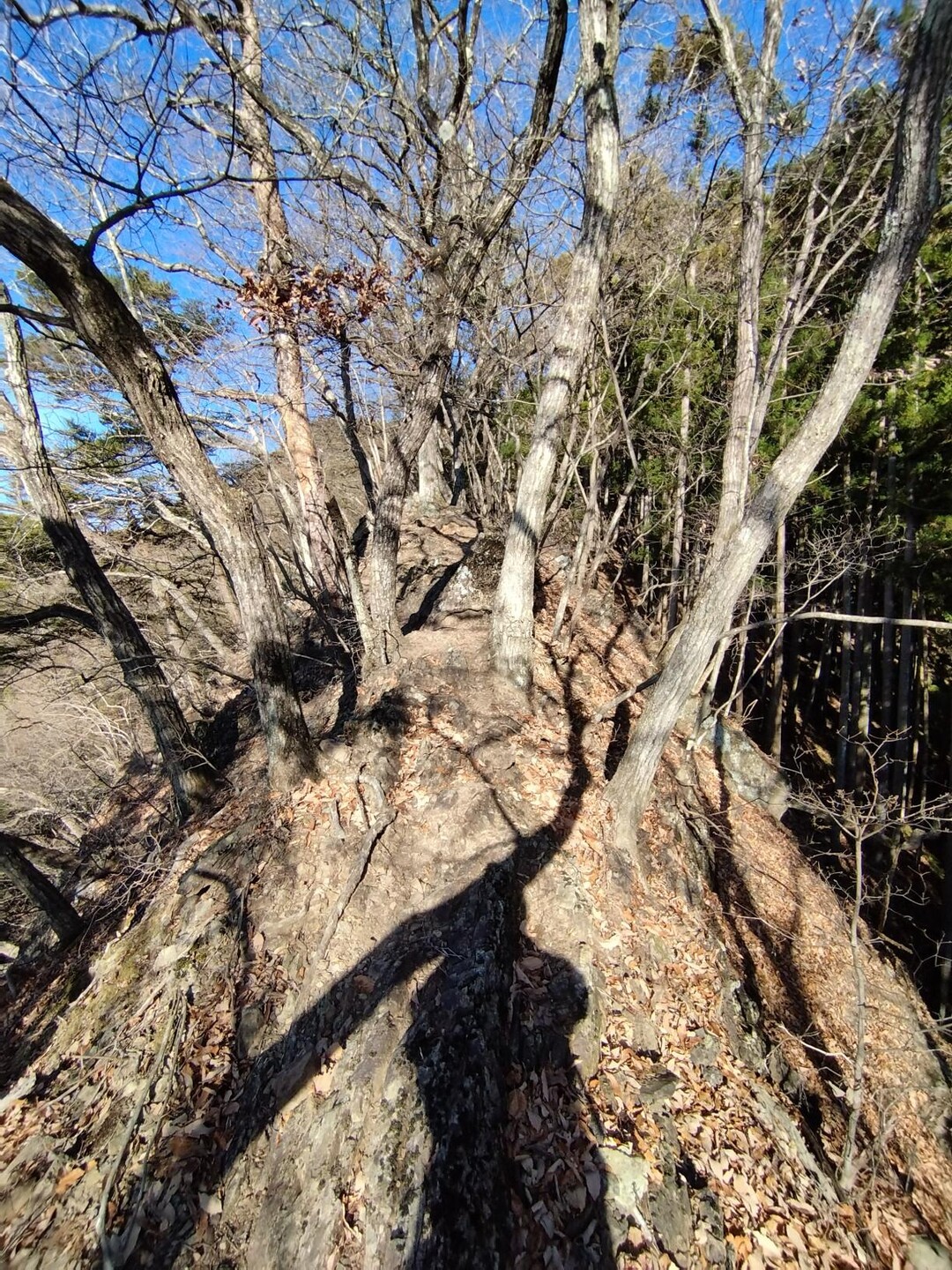 楽しい鎖場 四阿屋山 / horitakaさんの四阿屋山の活動データ | YAMAP / ヤマップ