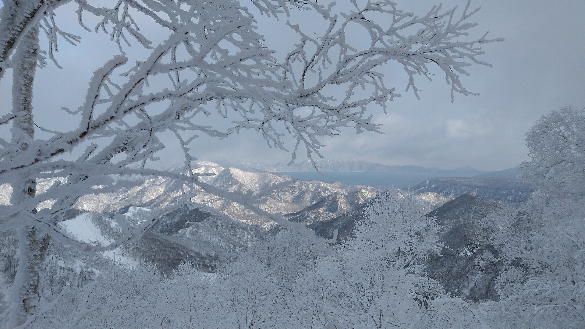 🍓Berry very much😘 / ちゃーちゃんさんの白老岳の活動データ | YAMAP / ヤマップ