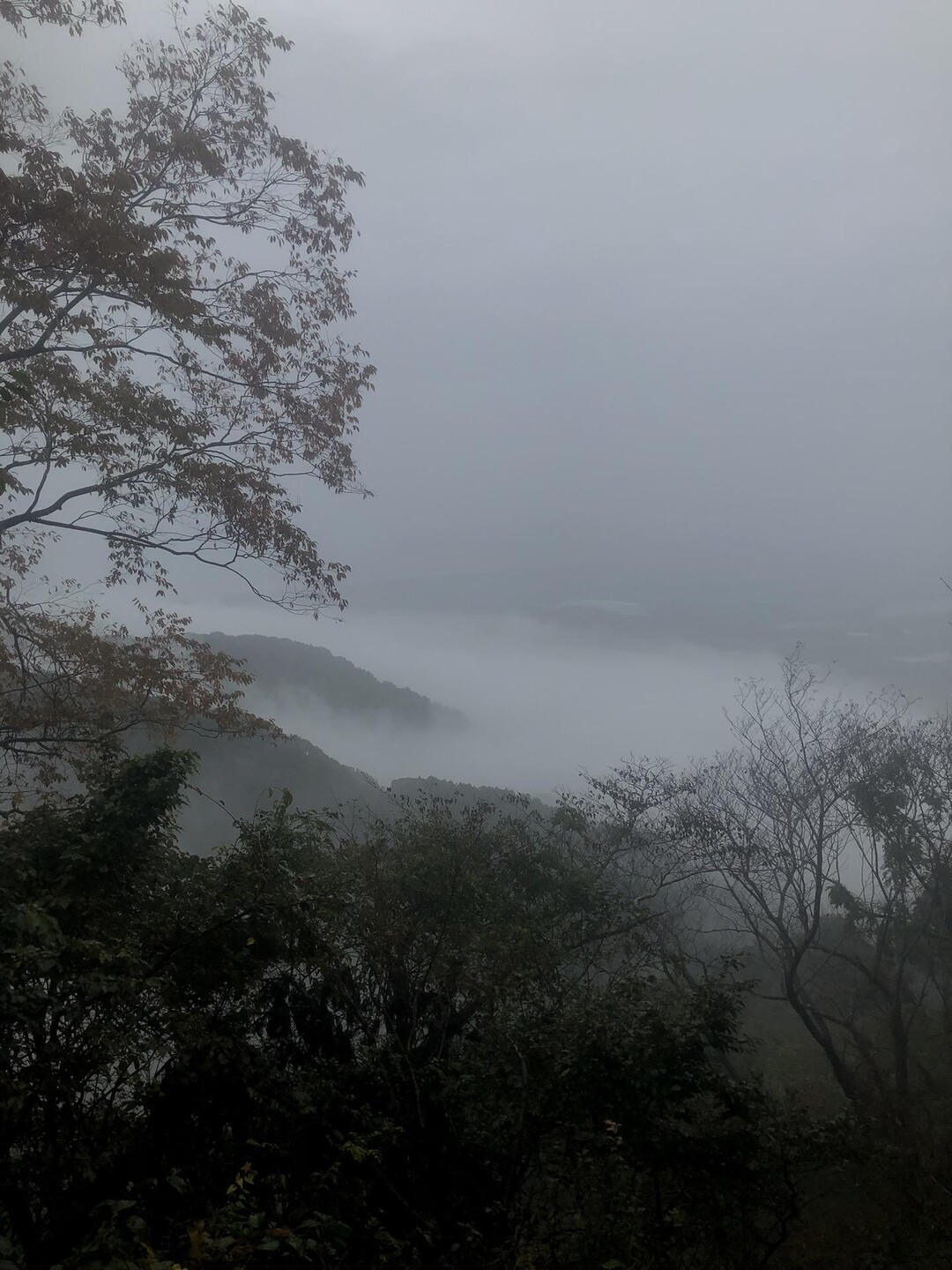 角田山（長者原山） / daidaiさんの角田山の活動データ | YAMAP / ヤマップ