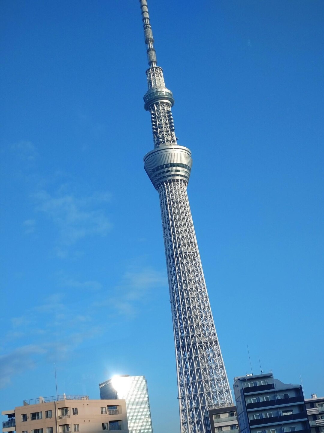 東京散歩🫰🏻東京は良い天気で暖かい ... / sora178さんのモーメント | YAMAP / ヤマップ