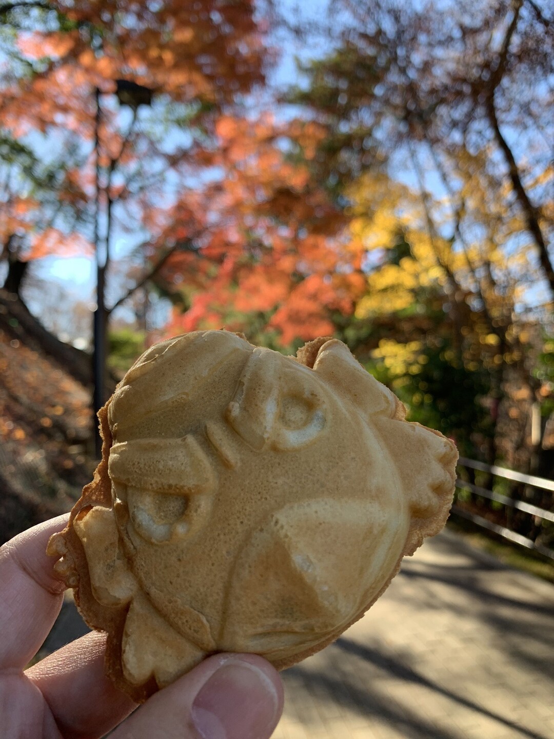 ホームマウンテンの高尾山へ / mauna naniさんの高尾山・陣馬山・景信山の活動データ | YAMAP / ヤマップ