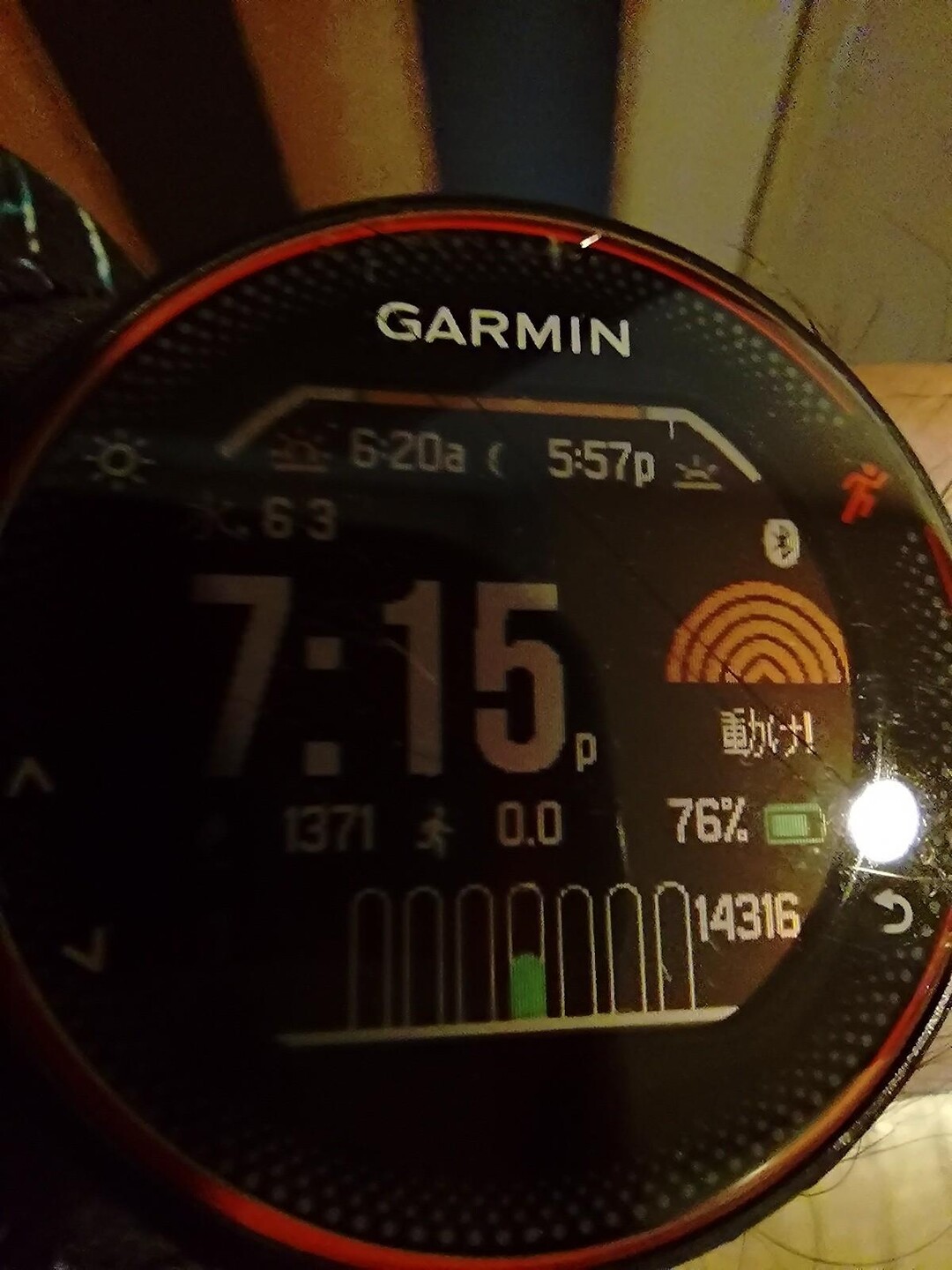 2024年3月6日(水) GARMIN(... / アラキさんのモーメント | YAMAP / ヤマップ