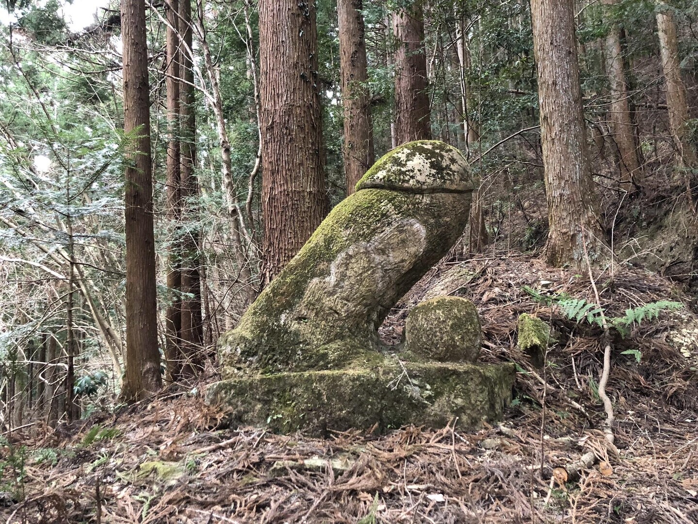 新柵山・風早山・城山（大築城跡）・小築山 / necomaru Xさんの堂平山・笠山（乳房山）・大霧山の活動データ | YAMAP / ヤマップ