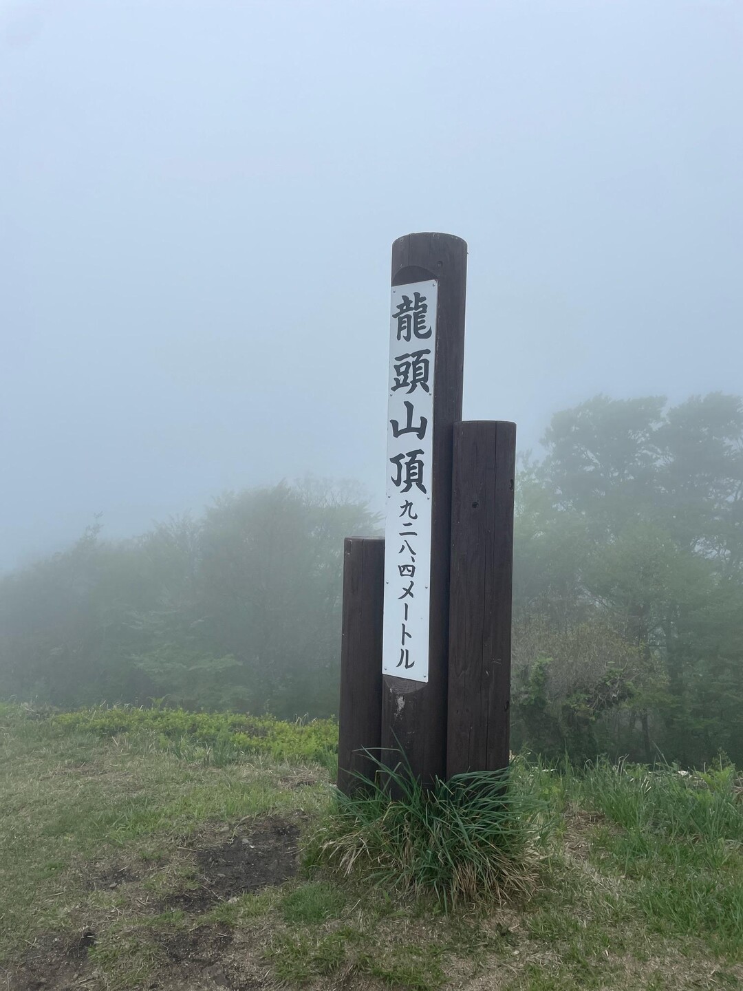 龍頭山 / Seiji517さんの龍頭山の活動データ | YAMAP / ヤマップ