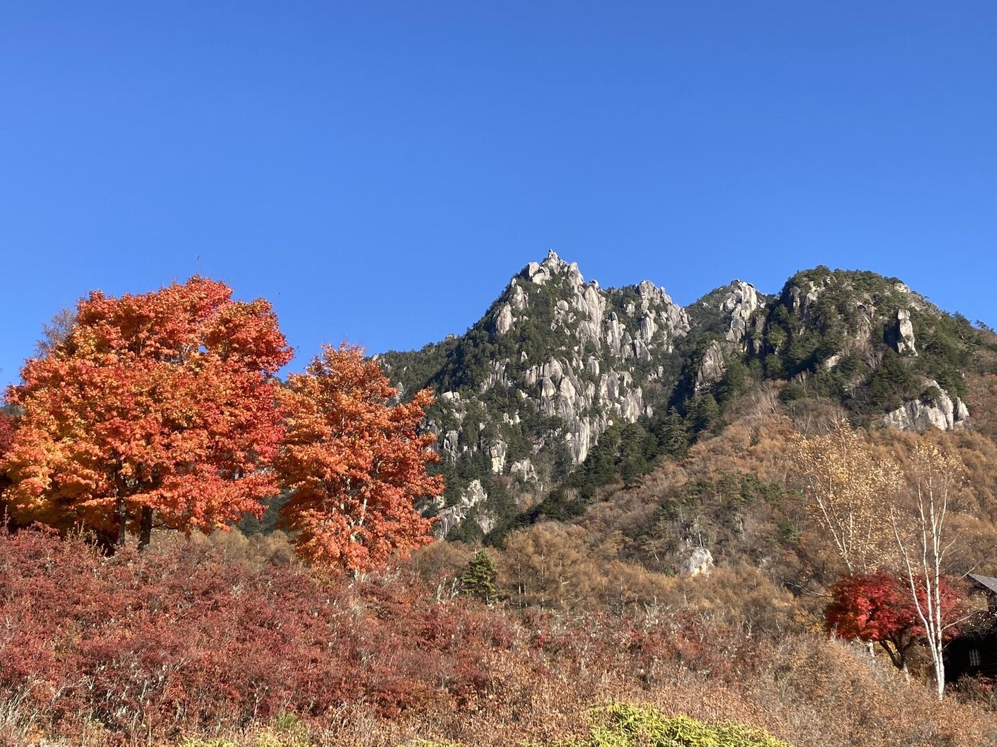 瑞牆山 / matsu_kさんの瑞牆山・金峰山の活動データ | YAMAP / ヤマップ