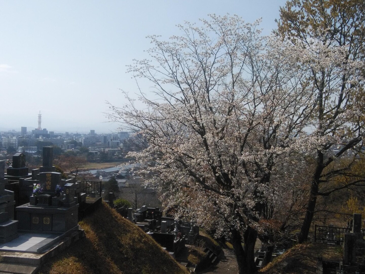 KSN立田山散策例会 / カズさんの大矢野島・維和島・柴尾山の活動データ | YAMAP / ヤマップ