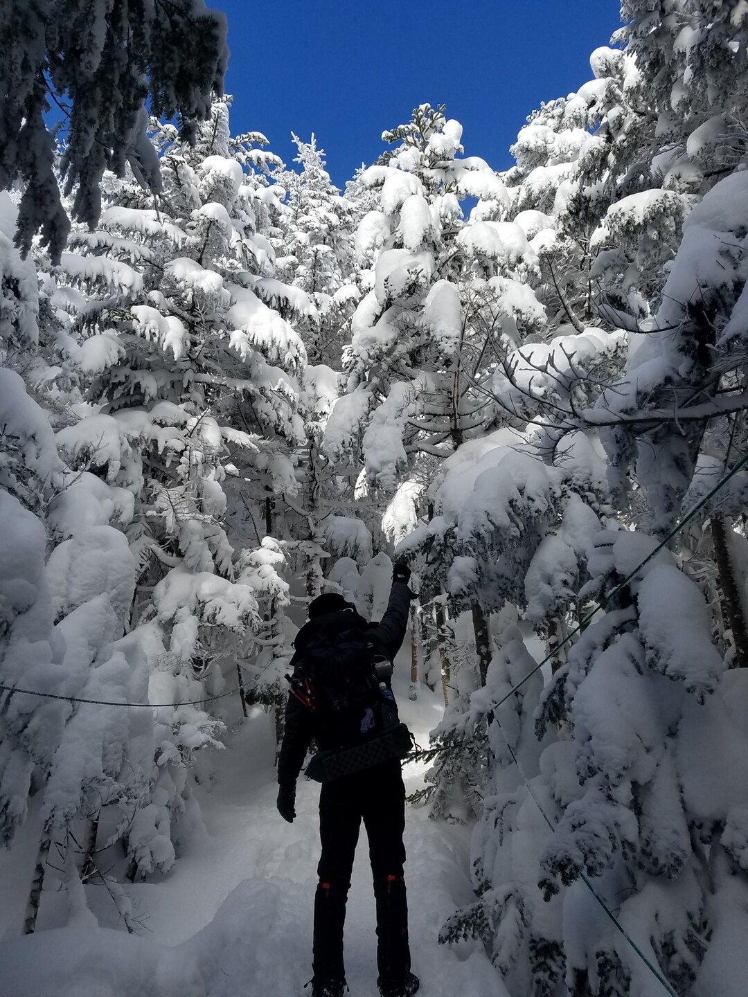 hi-m007のページ | YAMAP / ヤマップ