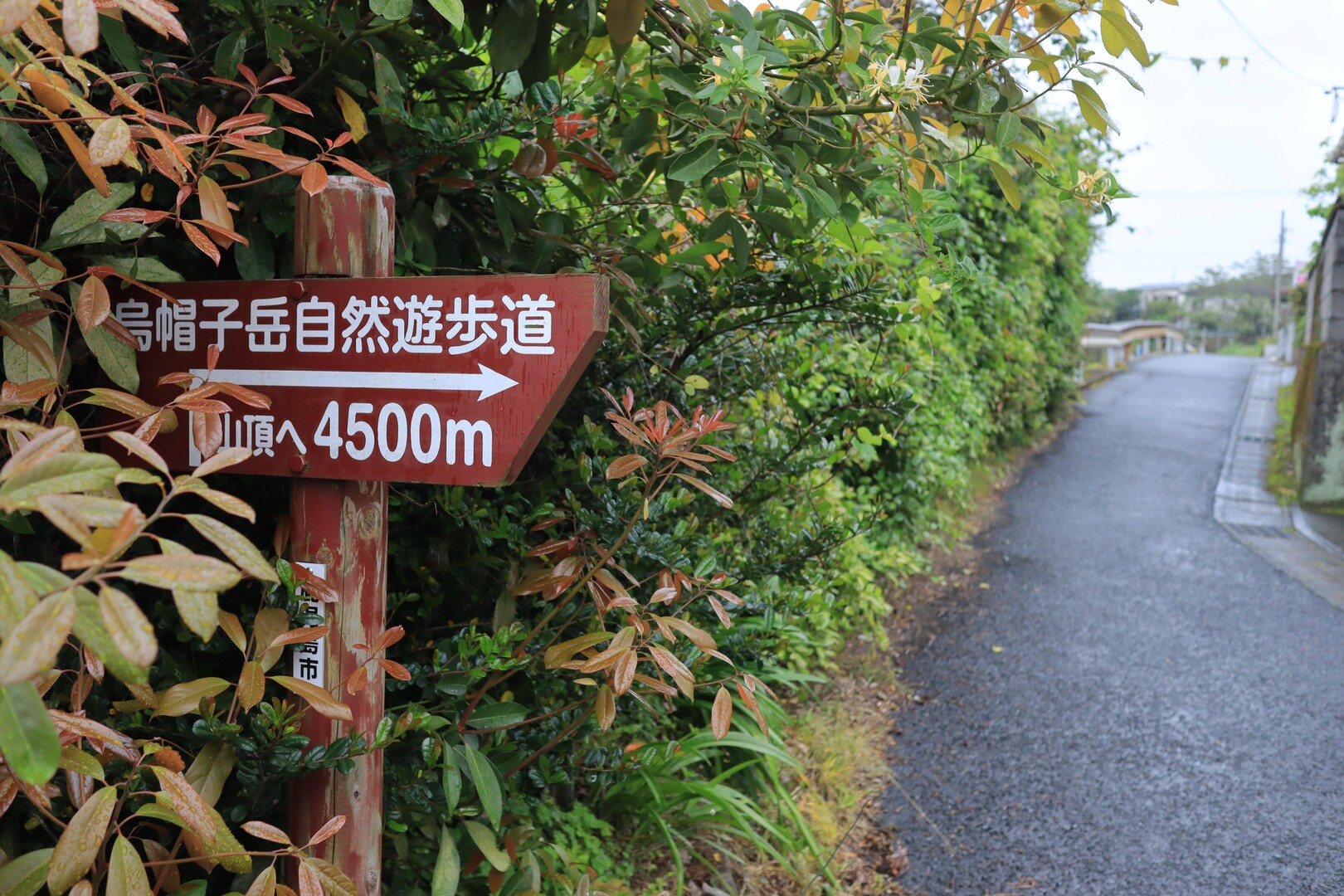 烏帽子岳 10kgを背負って / 日光仮面さんの烏帽子岳の活動データ | YAMAP / ヤマップ