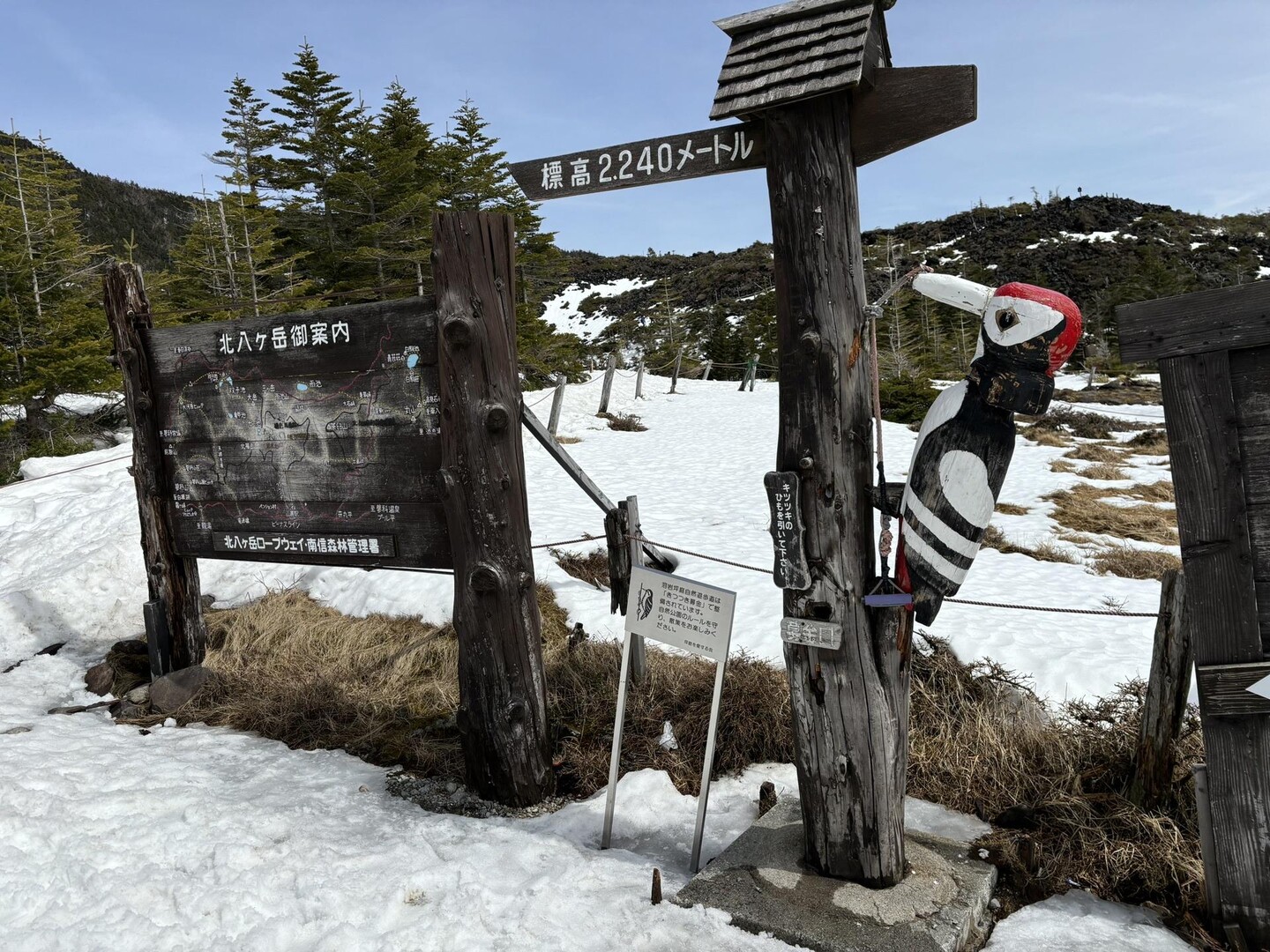 雪山入門きたよこ。下山は三ッ岳・雨池山経由 / seiさんの蓼科山・横岳・縞枯山の活動データ | YAMAP / ヤマップ