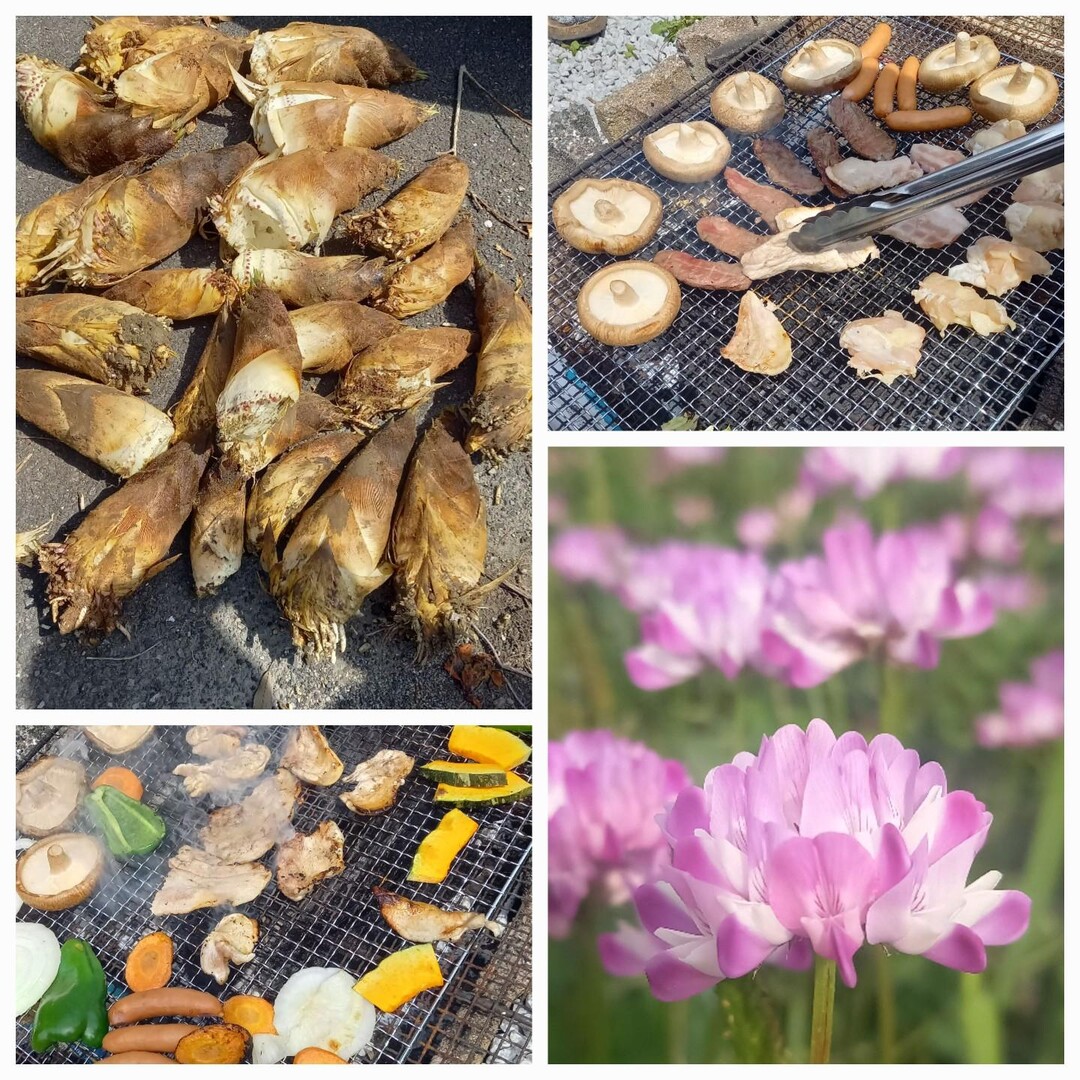 筍掘りとBBQ / Tsubuyanさんのウォーキングの活動データ | YAMAP / ヤマップ